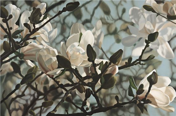 Winifred Godfrey | White Flowering Magnolia. (1996) | MutualArt