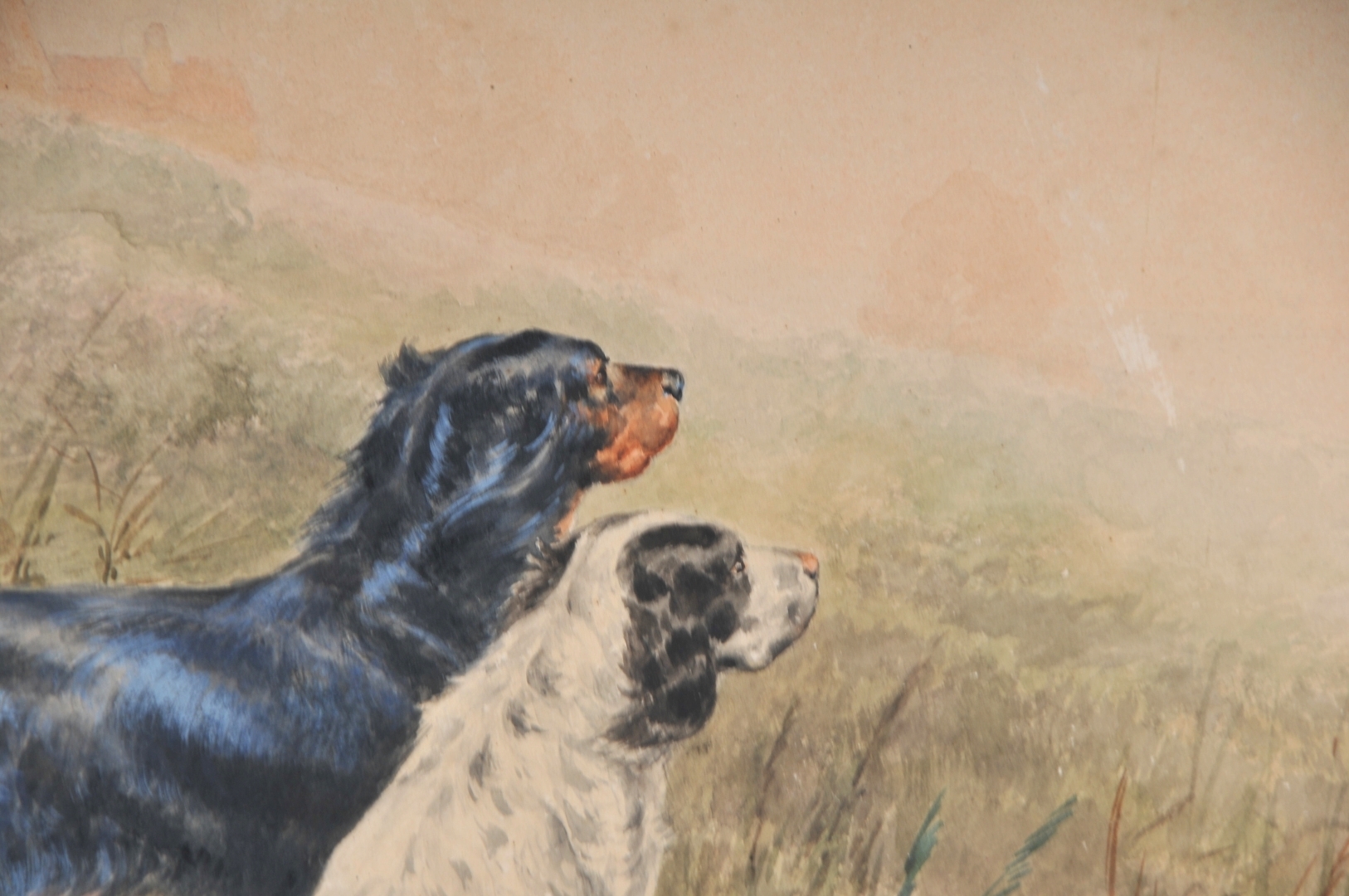 Alfred Weber | Chiens d'arrêt : Setter et Gordon dans la plaine | MutualArt