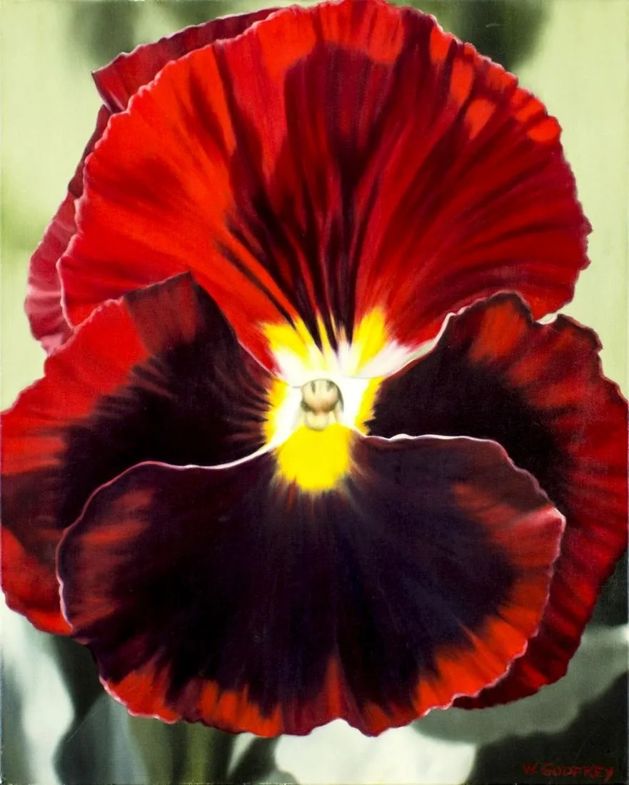 Winifred Godfrey | Red Pansy (1991) | MutualArt