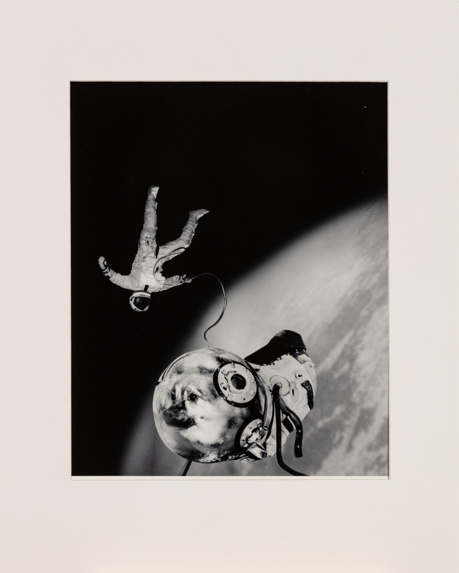 Joan Fontcuberta | Sputnik (1955) | MutualArt