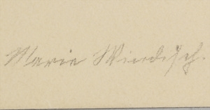 Maria Windisch | Blumenzeichnungen / Flower drawings (1901) | MutualArt