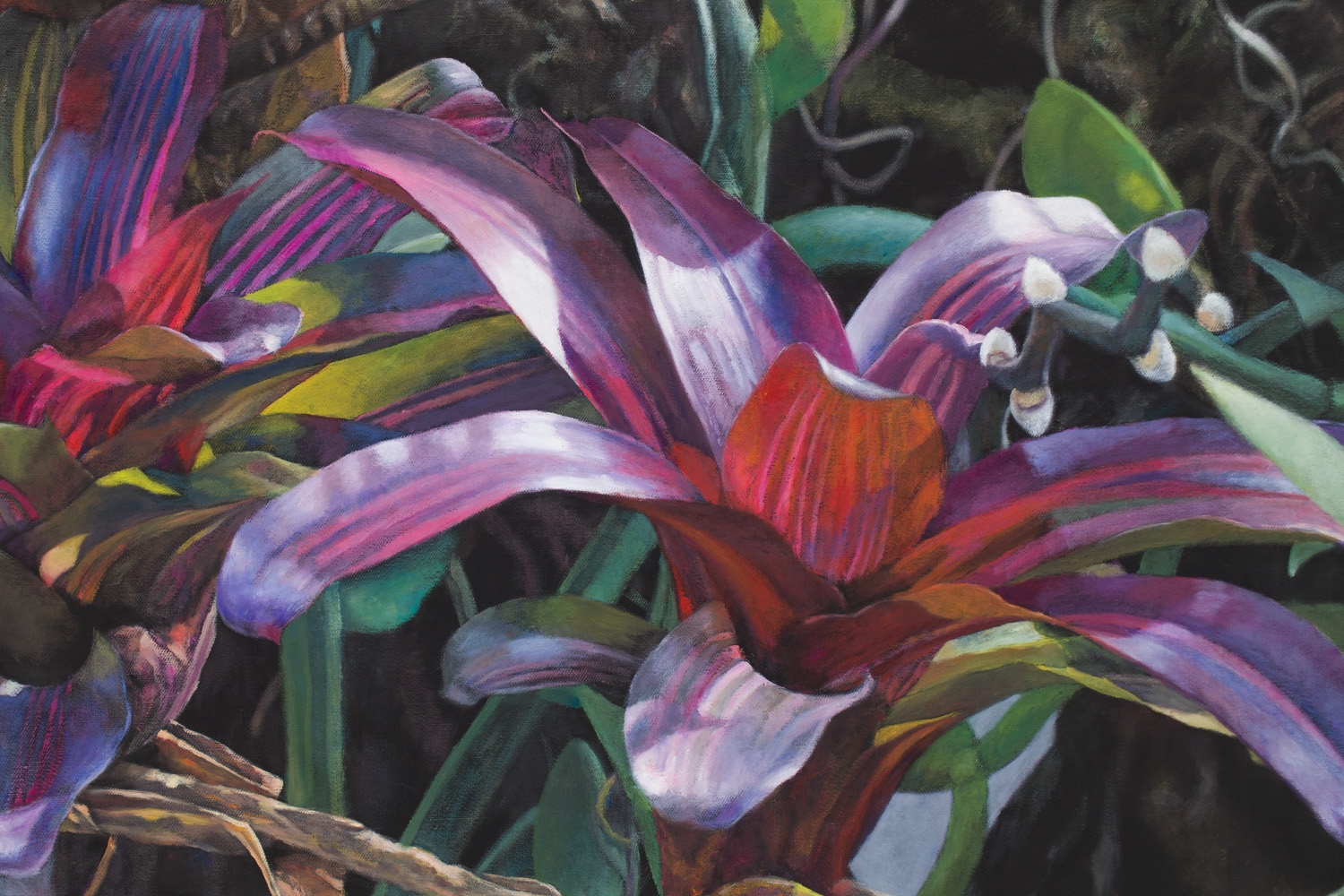 Lukasz Jacek | Botanic Garden (2022) | MutualArt