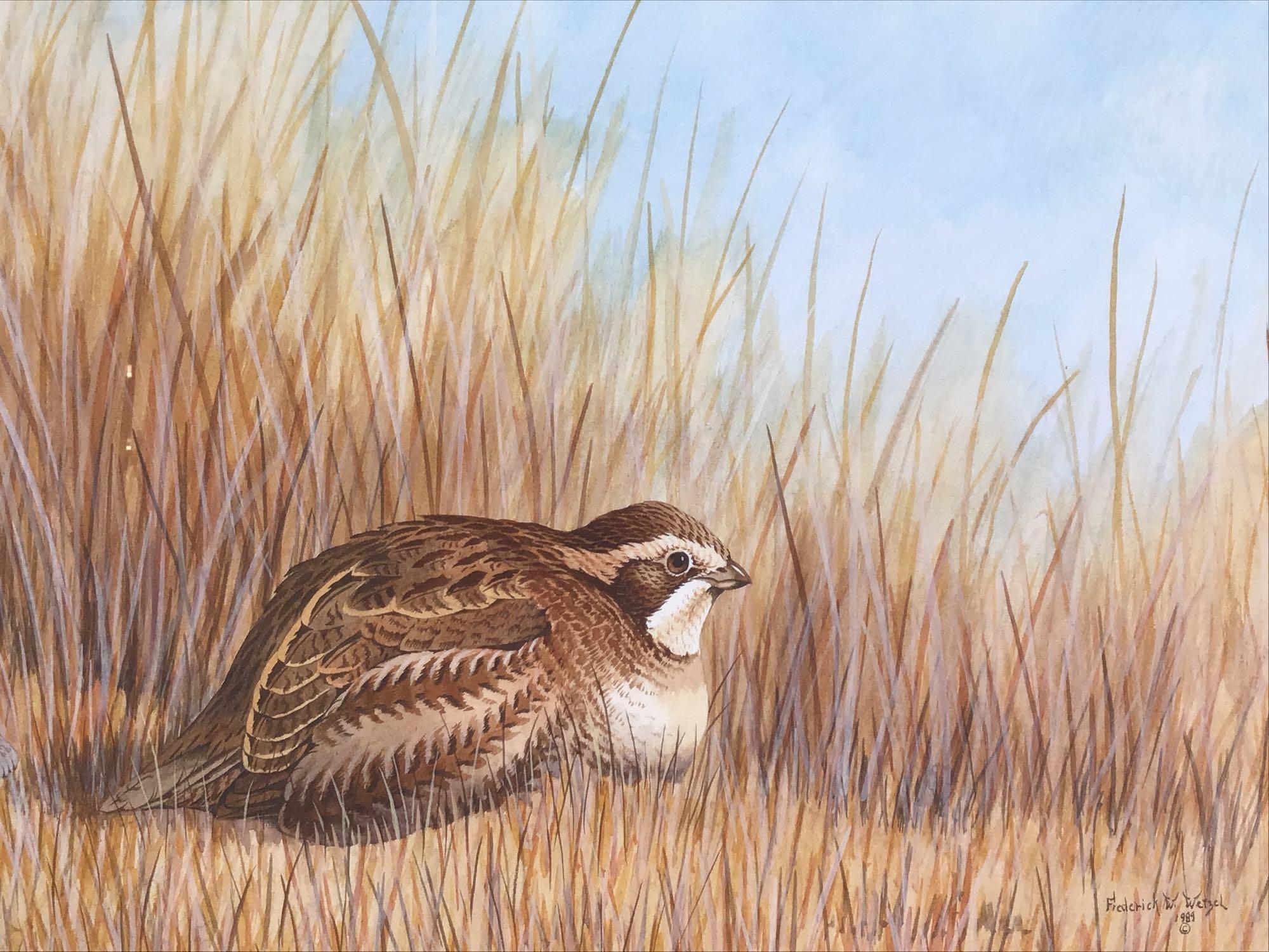 Frederick Wetzel | Grassy landscape with several birds (1989) | MutualArt