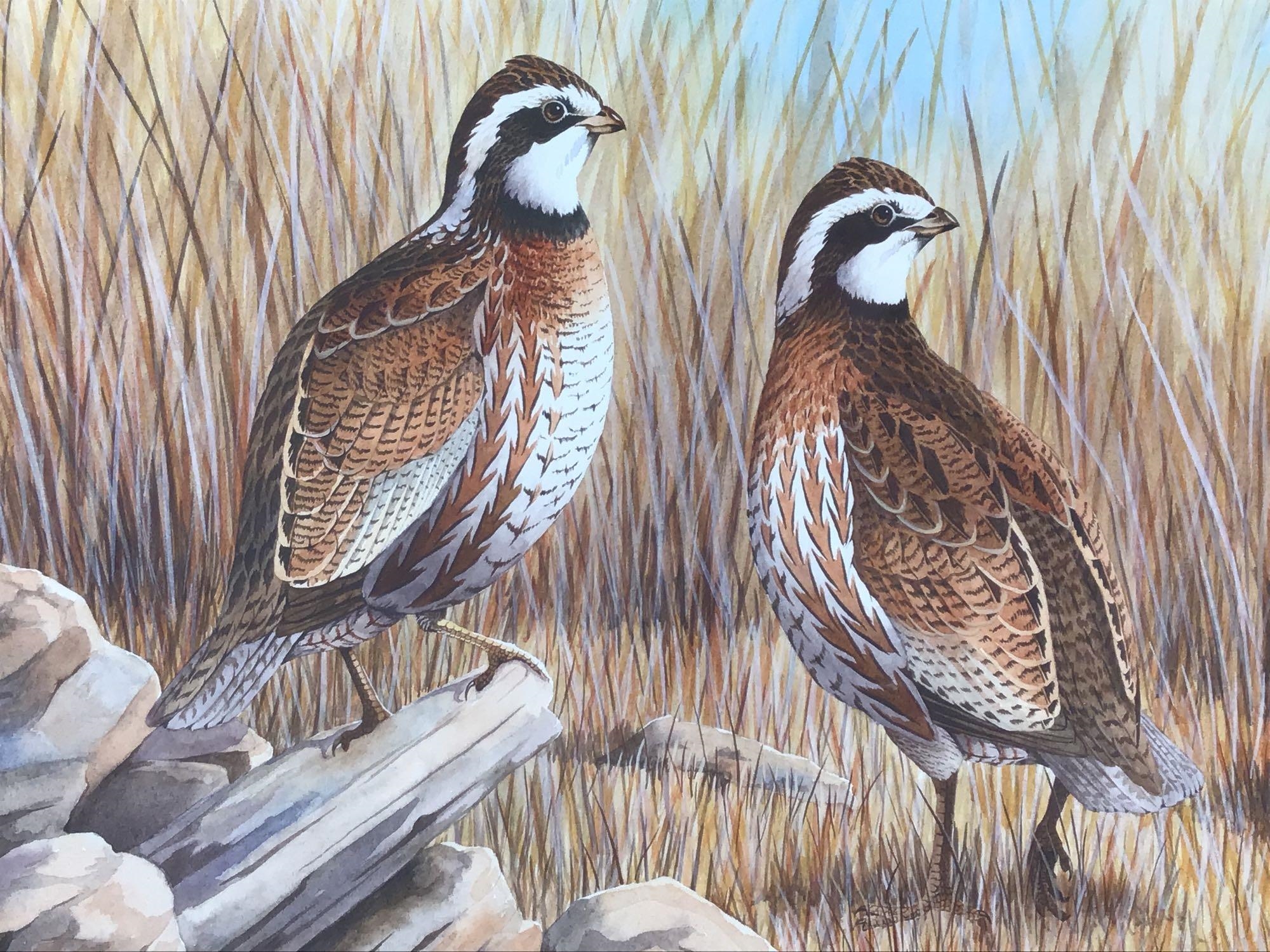 Frederick Wetzel | Grassy landscape with several birds (1989) | MutualArt