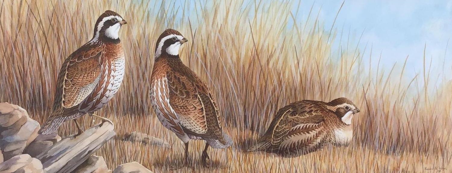 Frederick Wetzel | Grassy landscape with several birds (1989) | MutualArt