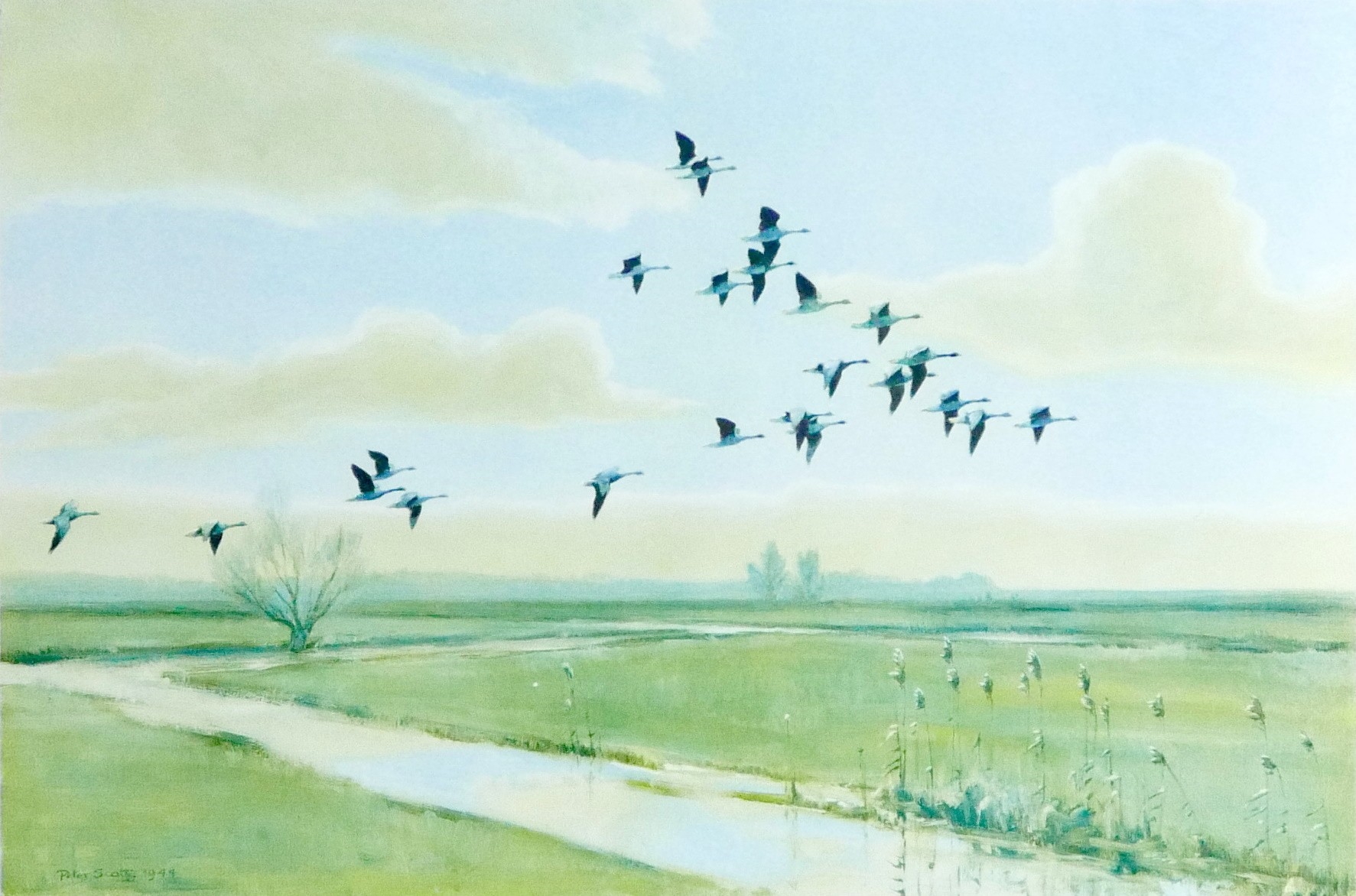 Peter Markham Scott | Two | MutualArt