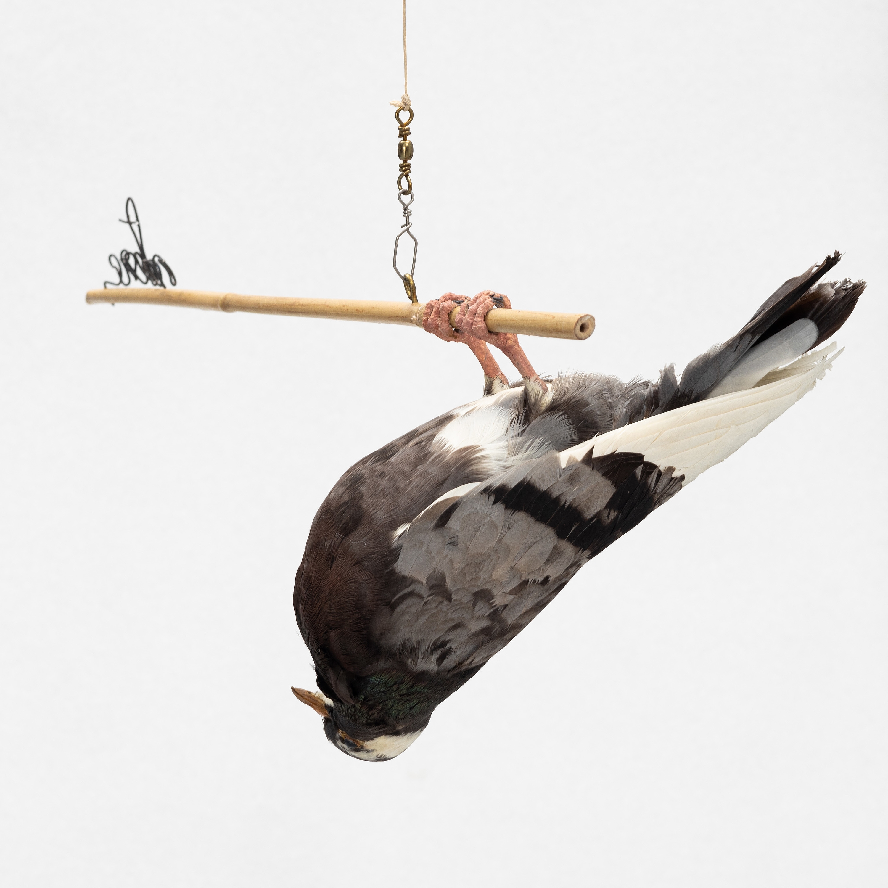 Lotta Hannerz | Nature (2005) | MutualArt
