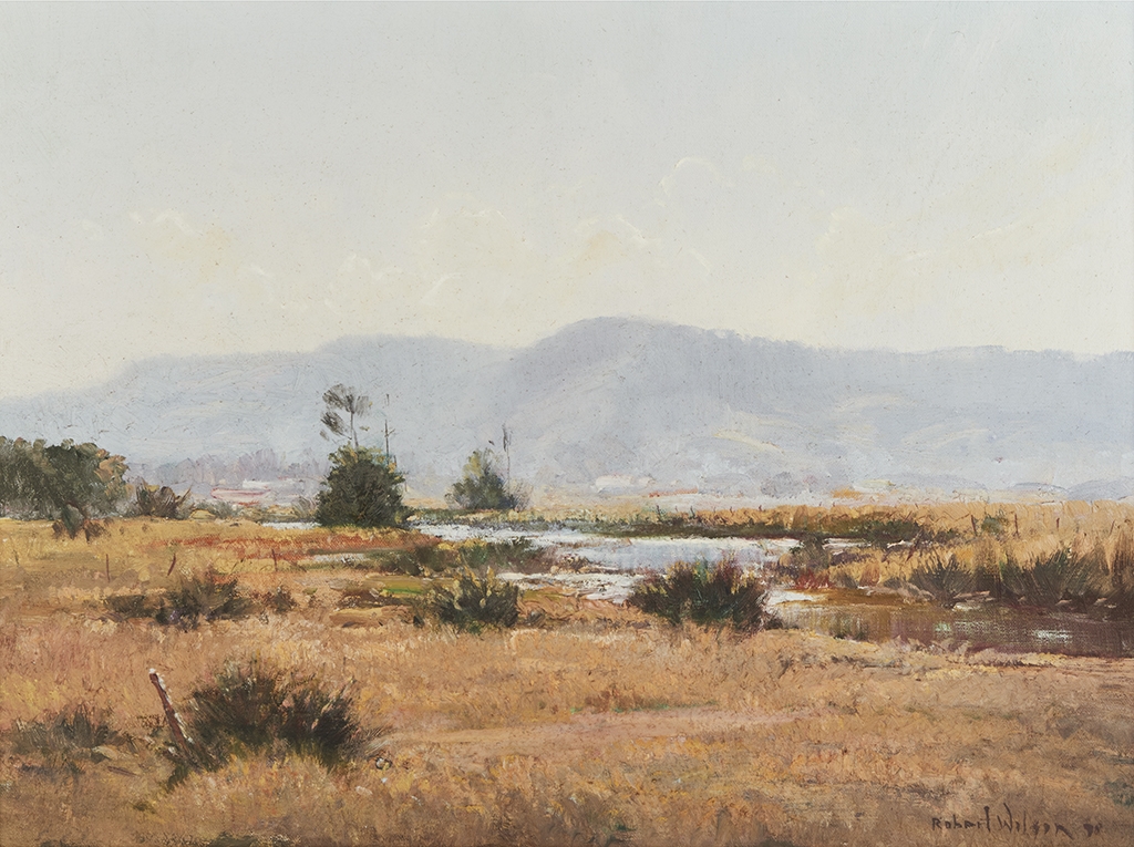 Robert Wilson | 'Brunolee Lagoon, 1978' | MutualArt