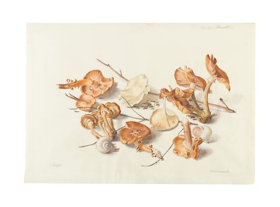 Carlos von Riefel | Hallimasch (1903) | MutualArt