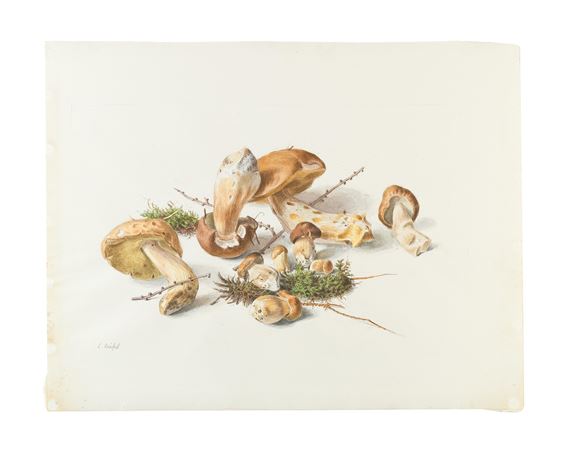 Carlos von Riefel | Steinpilze (1903) | MutualArt