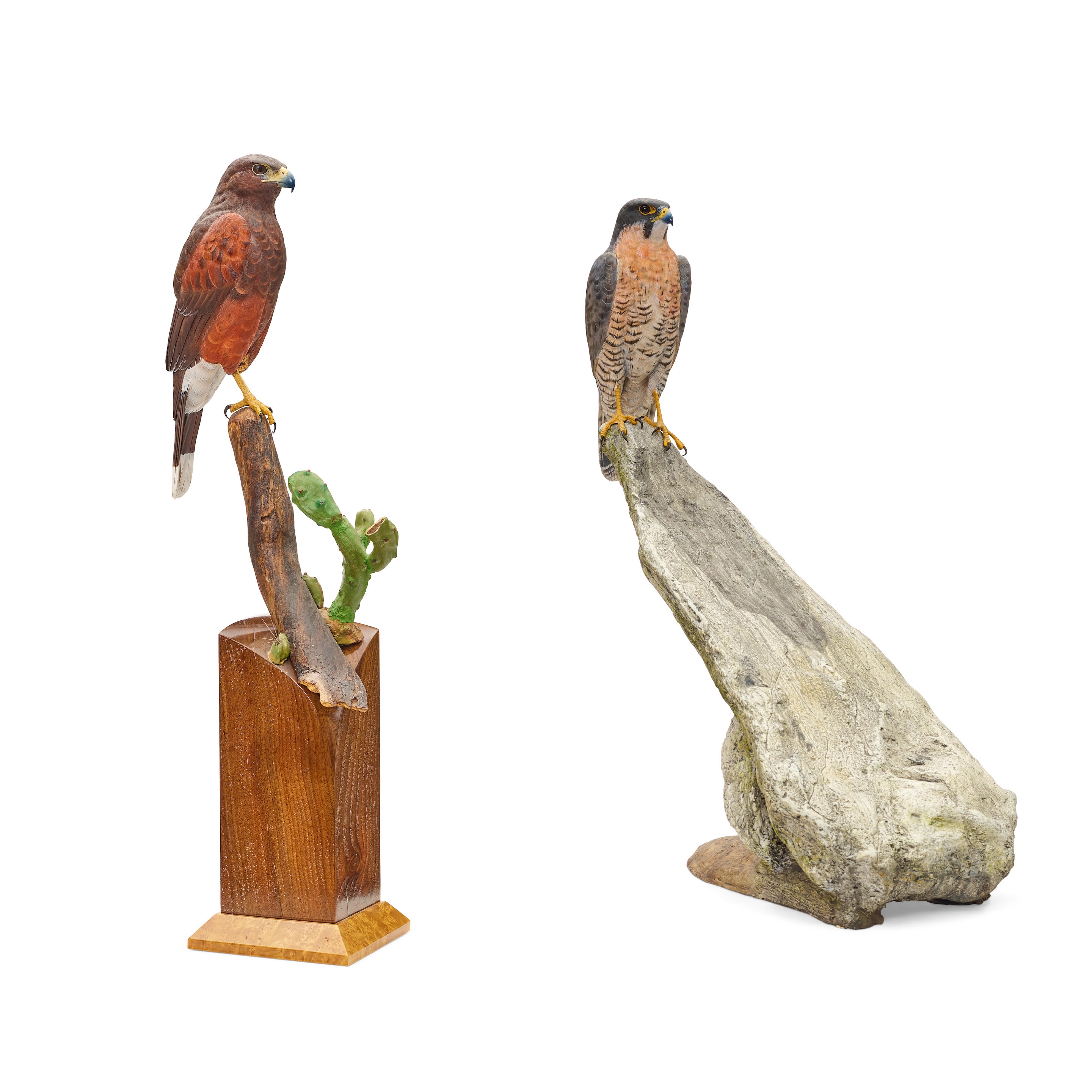 Floyd Scholz | Harris Hawk and Arctic Shadow (a group of two) | MutualArt