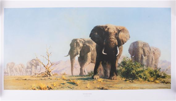 David Shepperd | The Ivory is Theirs | MutualArt