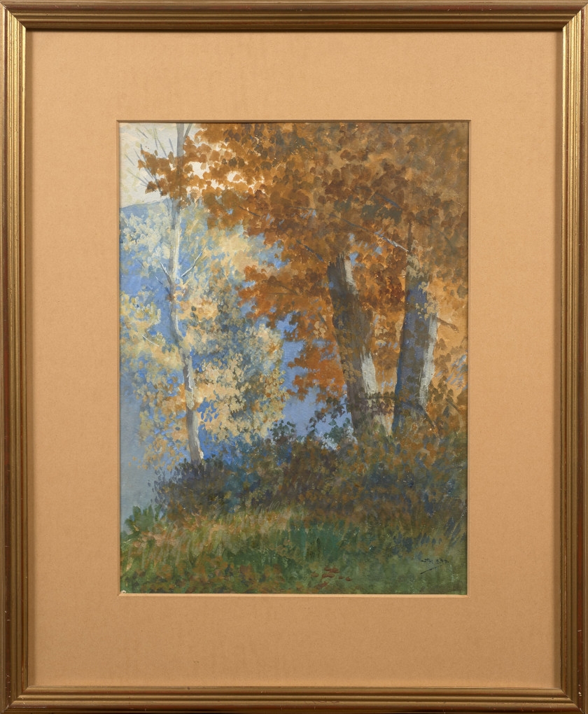 Alphonse Osbert | Étude de sous-bois | MutualArt