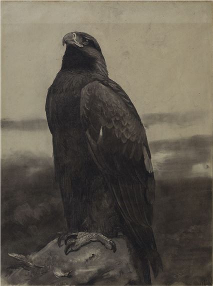 Archibald Thorburn | Golden Eagle (1935) | MutualArt
