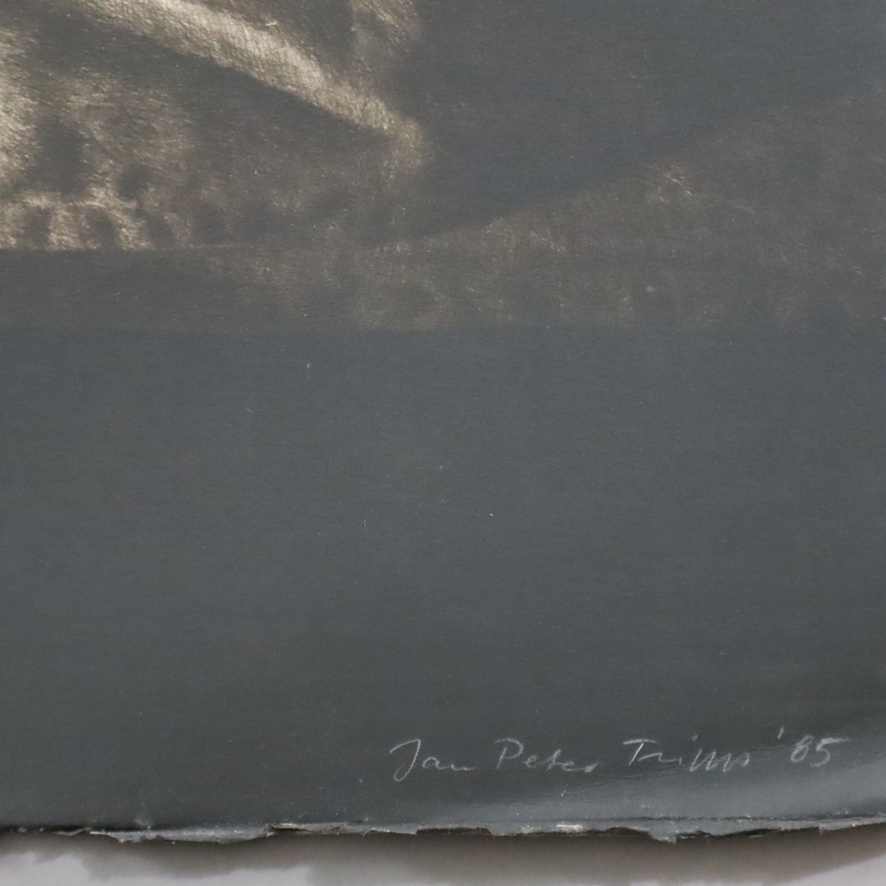Jan Peter Tripp | California secret (1985) | MutualArt