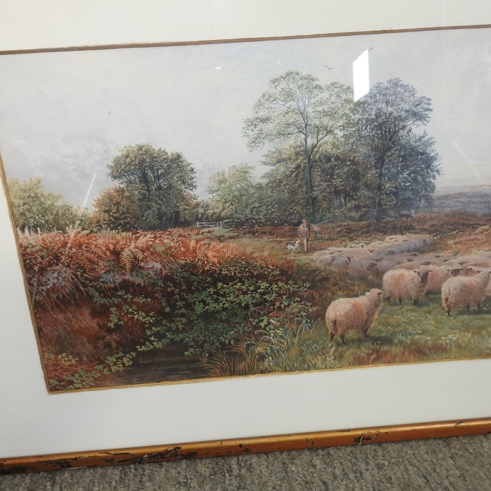 George Shalders | George Shalders, 1825-1873 (1871) | MutualArt