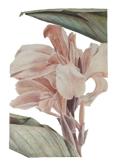 Terry Stringer | Leaves (1985) | MutualArt