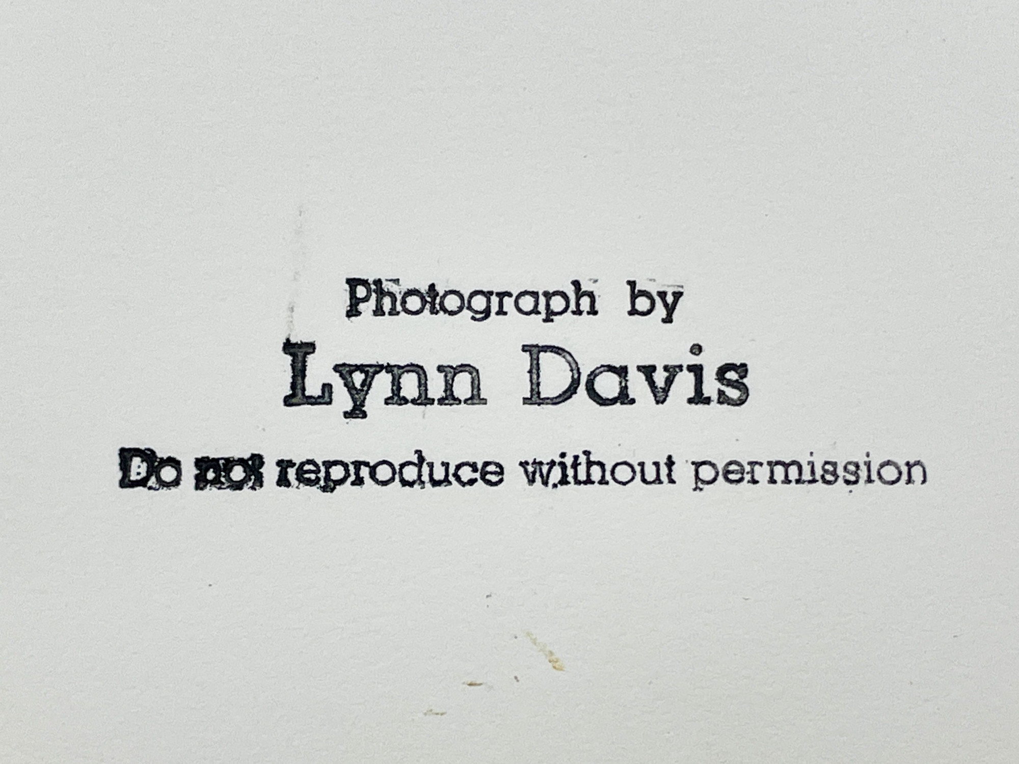 Lynn Davis | Palm Springs, 1981 | MutualArt