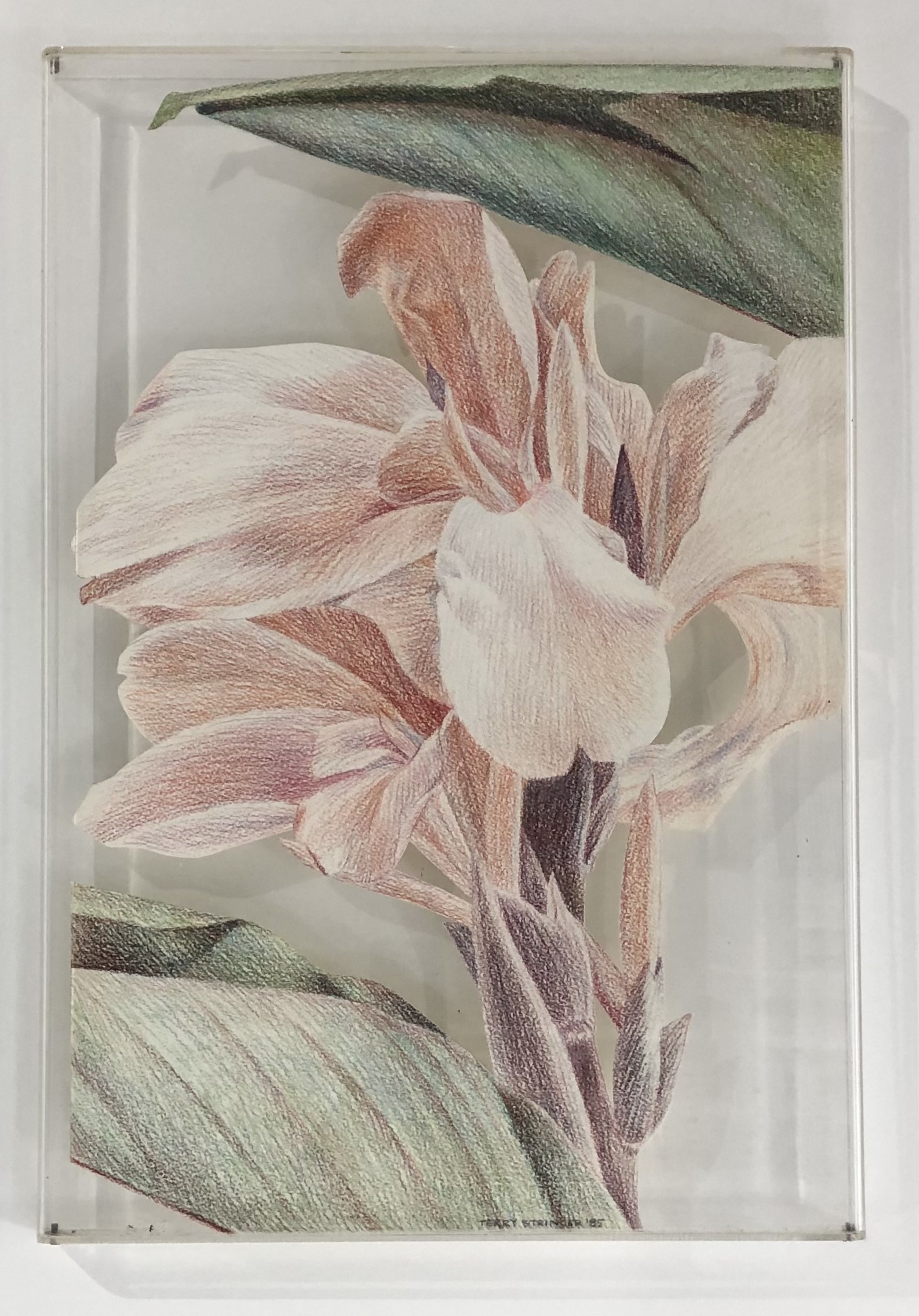 Terry Stringer | Leaves (1985) | MutualArt