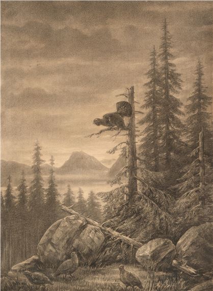 Franz Xaver von Pausinger | Two black grouses displaying courtship on a ...