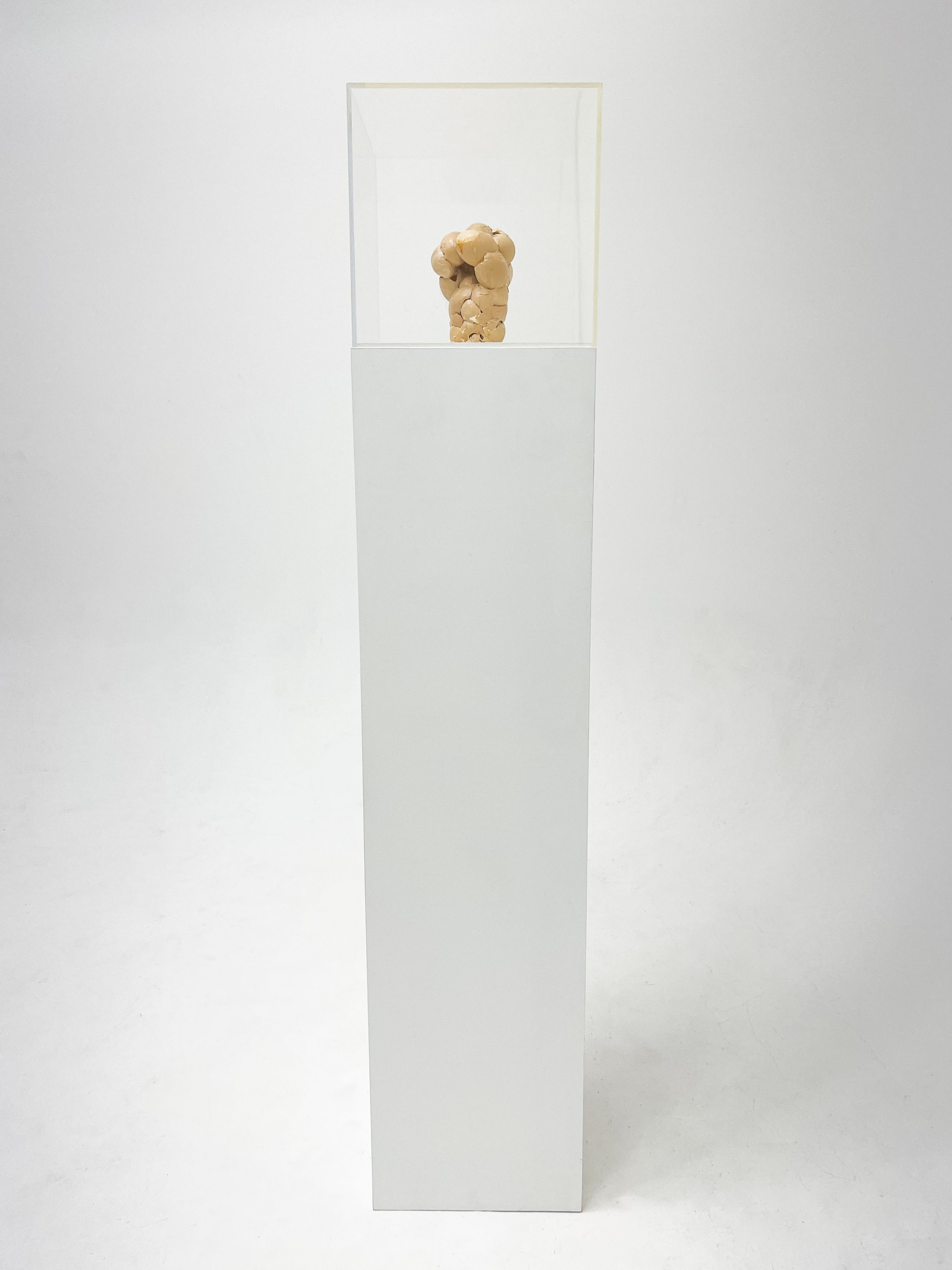 Tim Hawkinson | Fist (2009) | MutualArt
