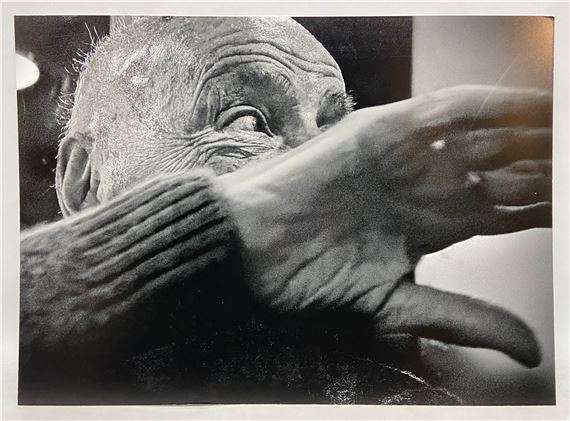 Victor Cunha | 9 Artworks | MutualArt