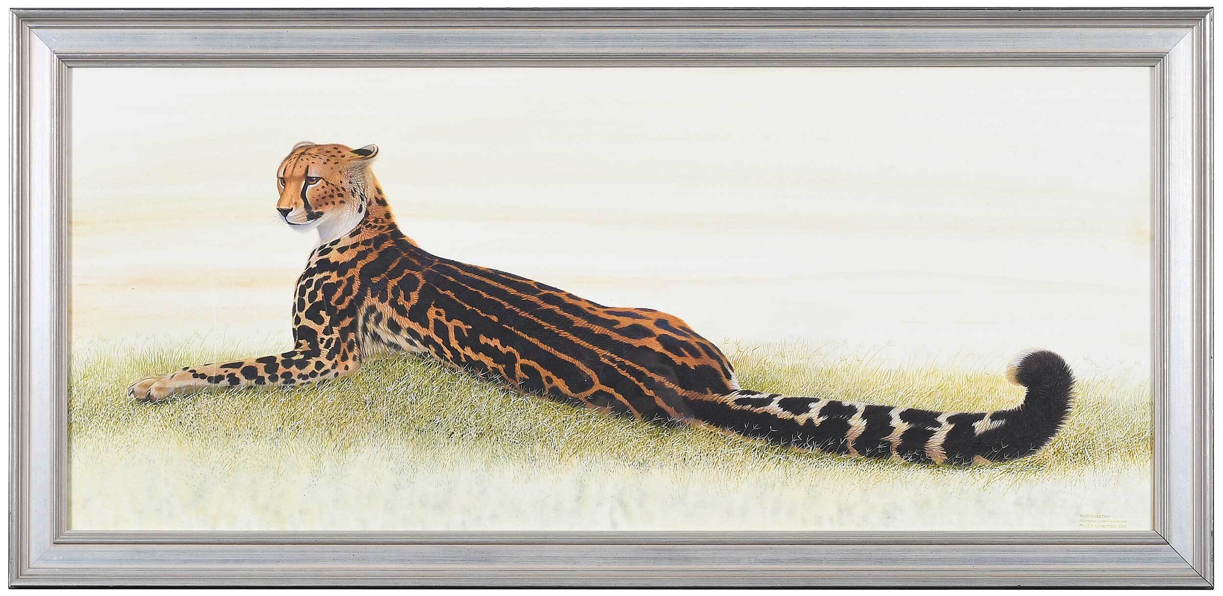 Peter Schouten | King Cheetah (2001) | MutualArt