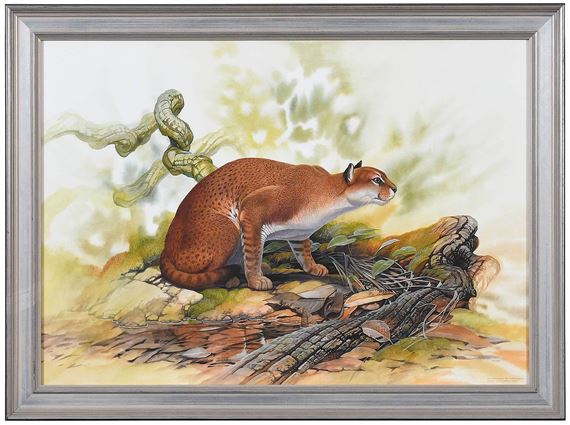 Peter Schouten | African Golden Cat Profelis aurata (2001) | MutualArt