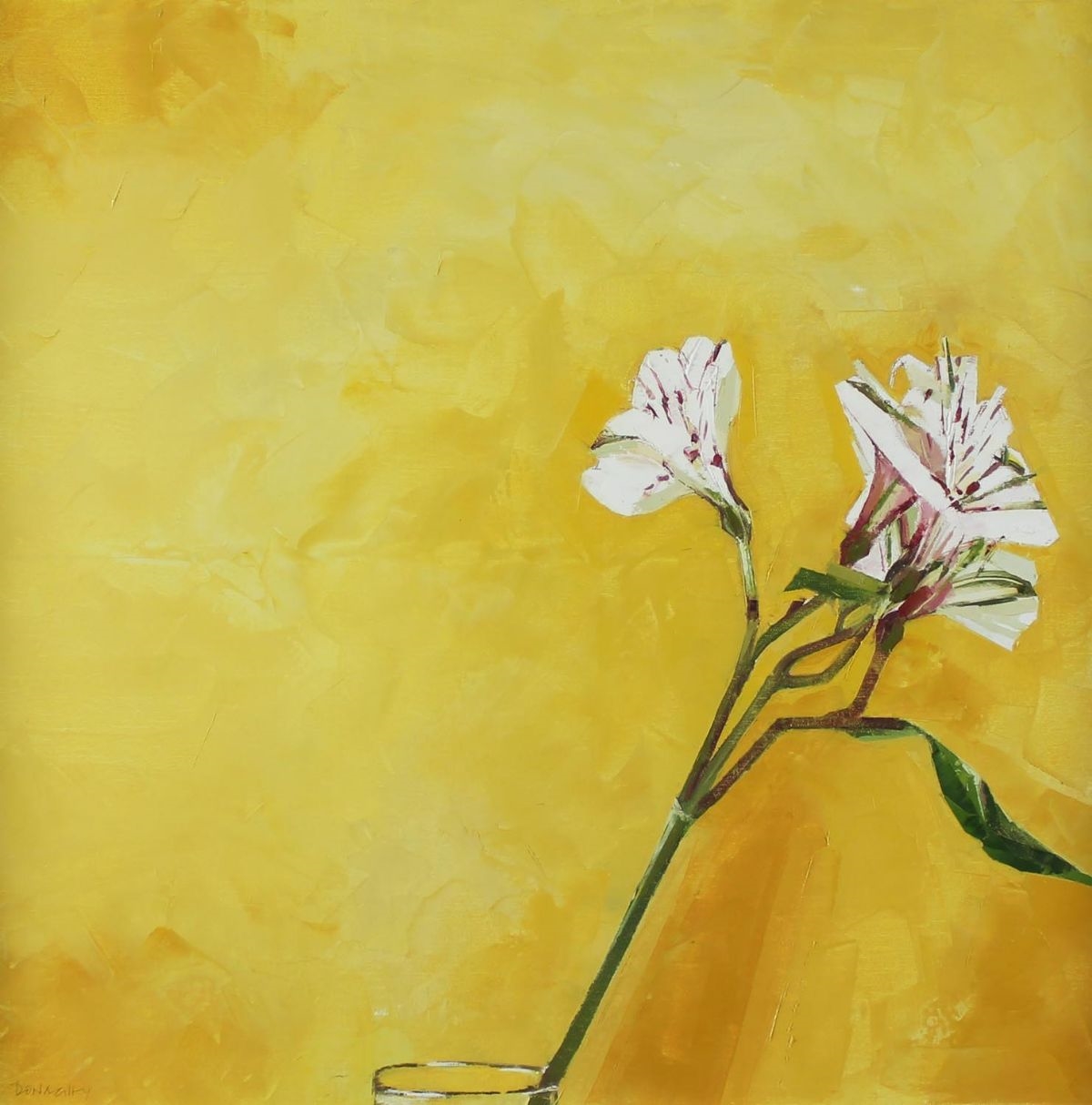 Paul Donaghy | Alstroemeria | MutualArt
