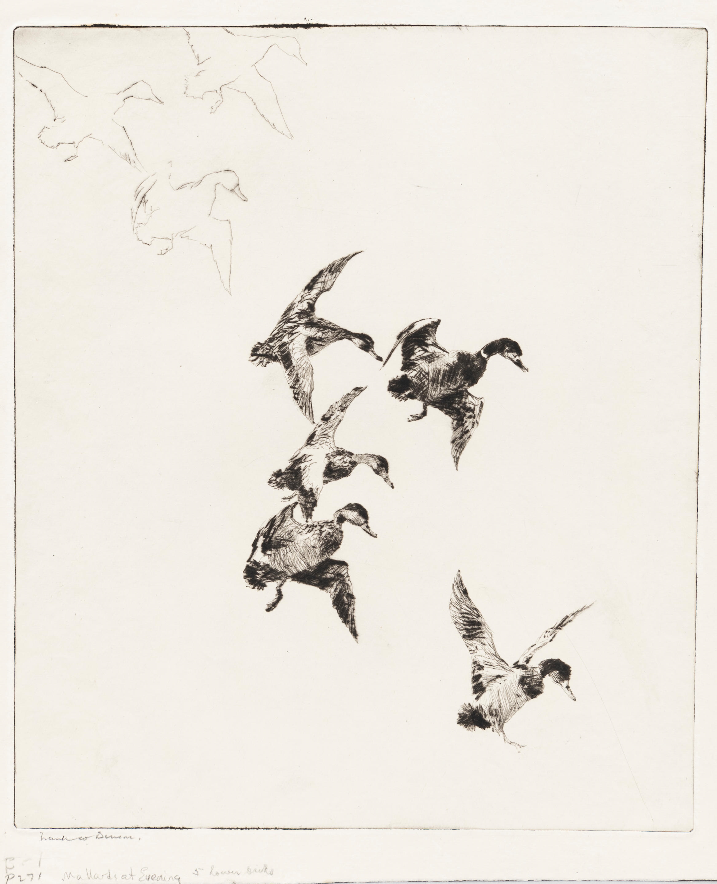 Frank Weston Benson | Two Proof Impressions: Towering Widgeon and ...