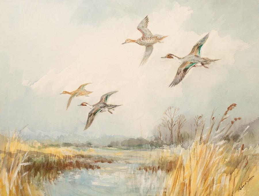 Roland Green | Pintails in Flight | MutualArt