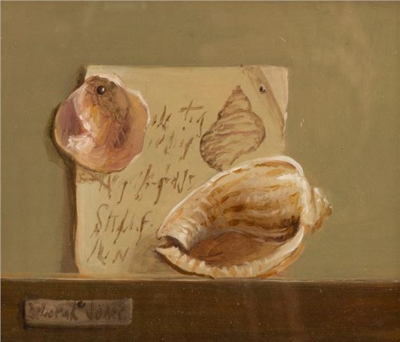 Deborah Jones | Still Life of Shells | MutualArt