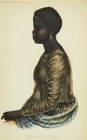 James Cowles Prichard | The Natural History of Man (1855) | MutualArt