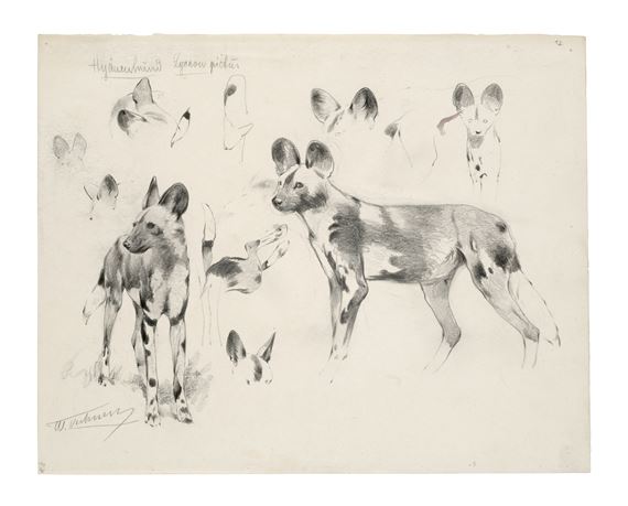 Wilhelm Kuhnert | Hyänenhund | MutualArt