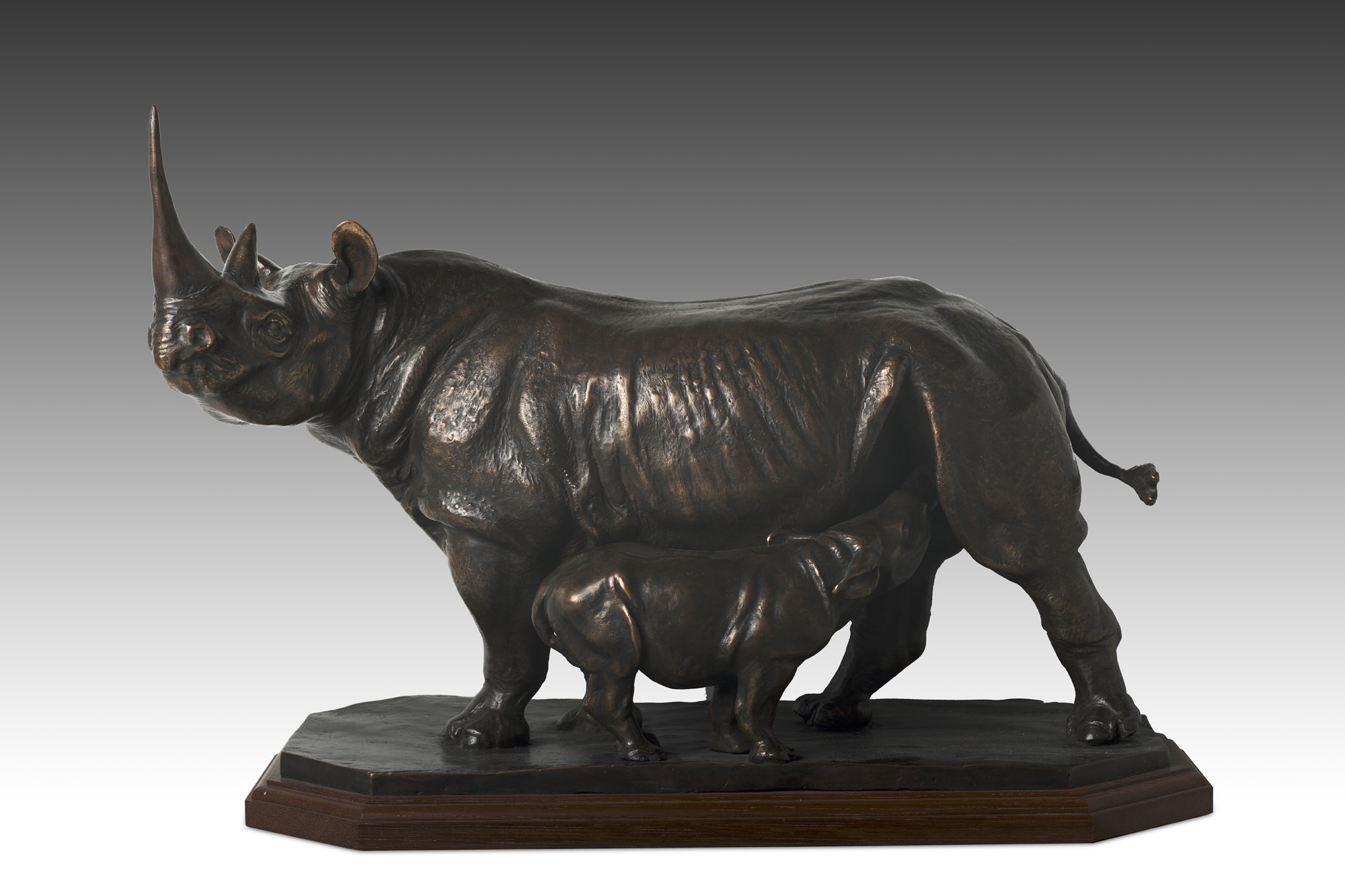 Josef Franz Pallenberg | Breitmaulnashorn mit Jungtier, stehend (20 ...