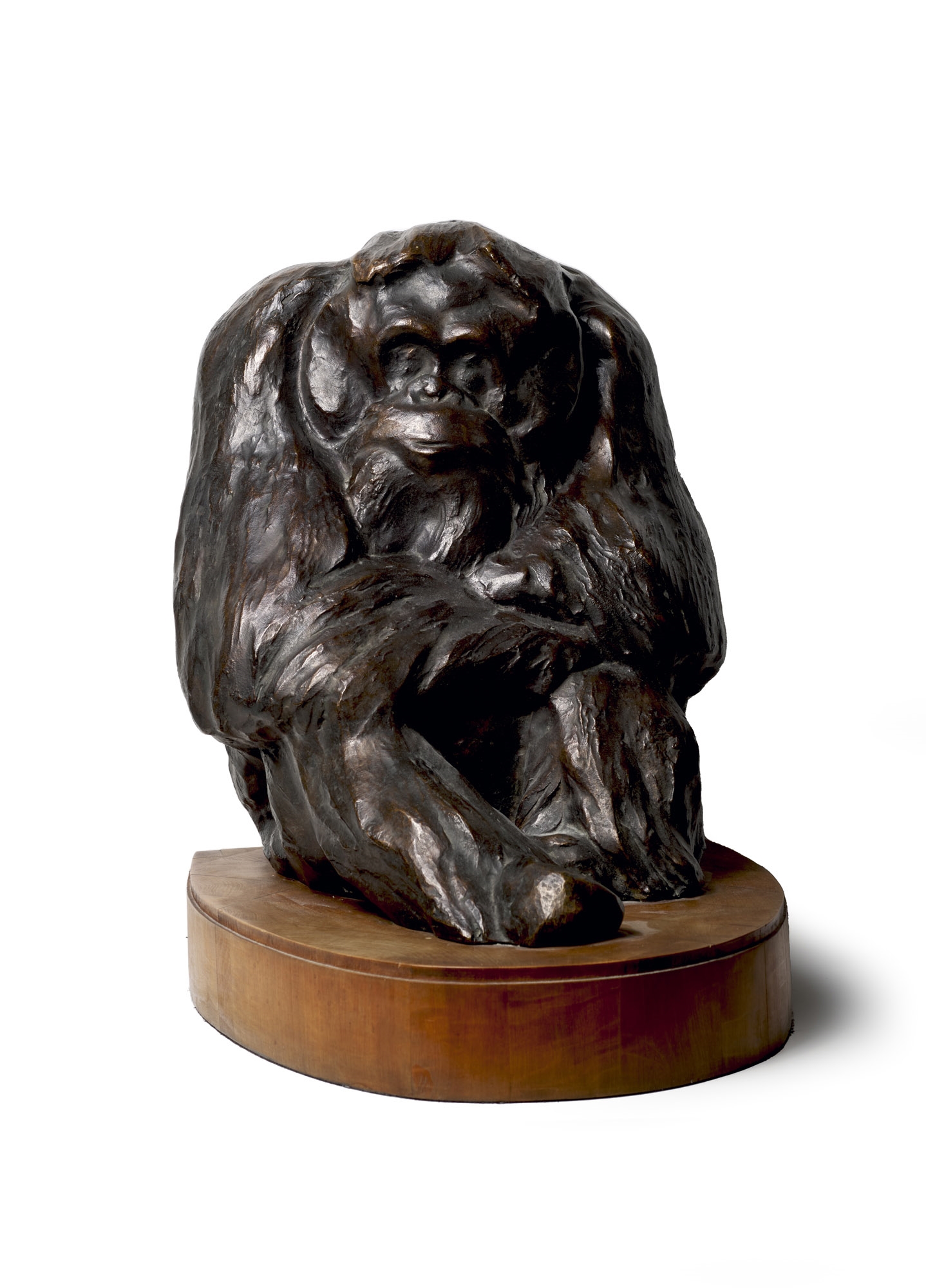 Josef Franz Pallenberg | Orang Utan (20) | MutualArt