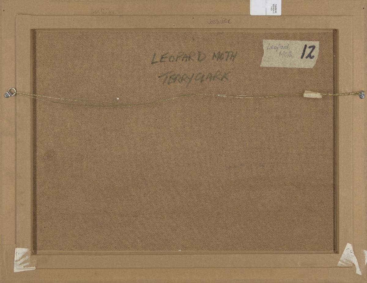 Terry Clark | Leopard Moth (1993) | MutualArt