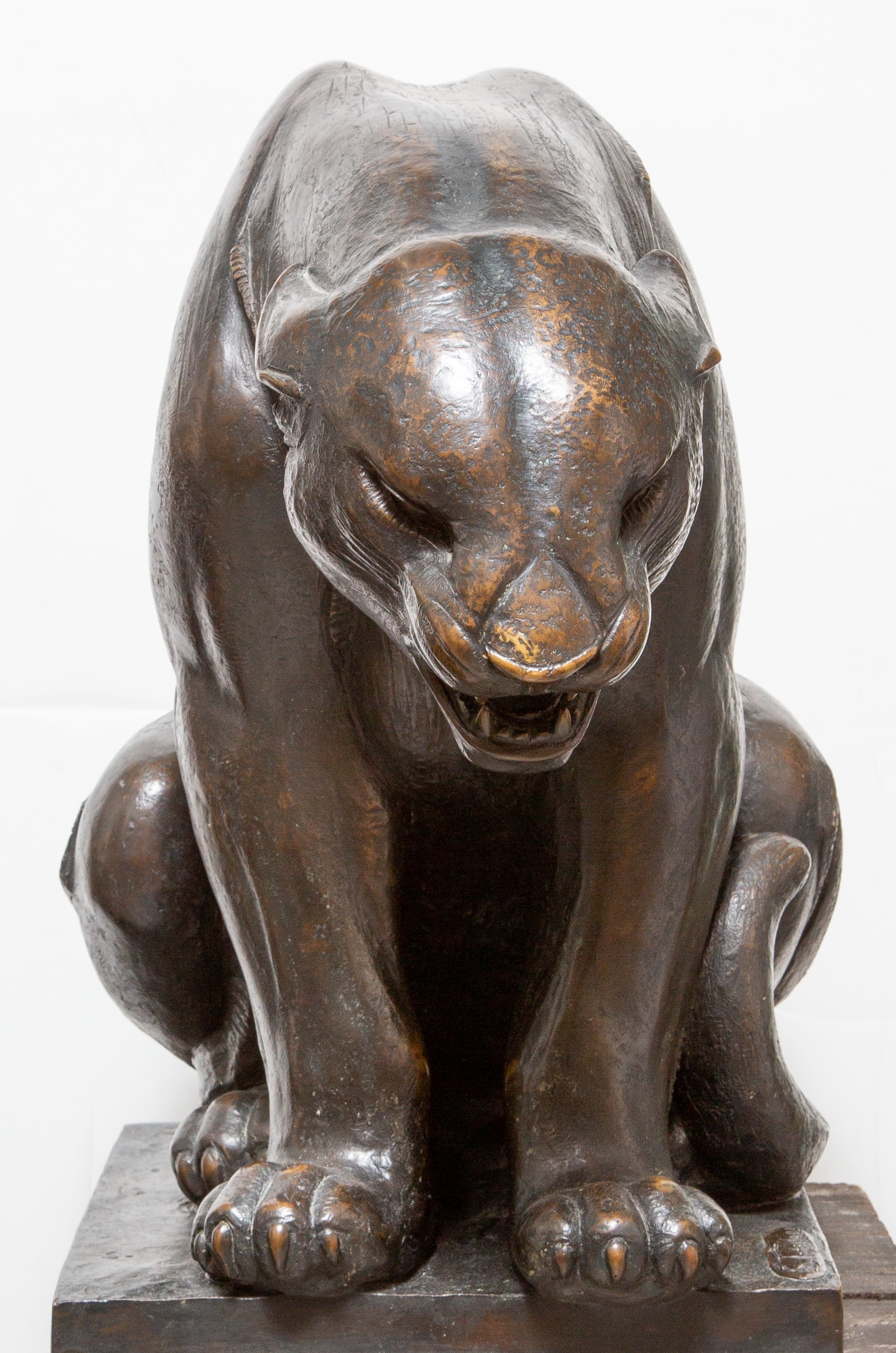 Sirio Tofanari | Panther | MutualArt