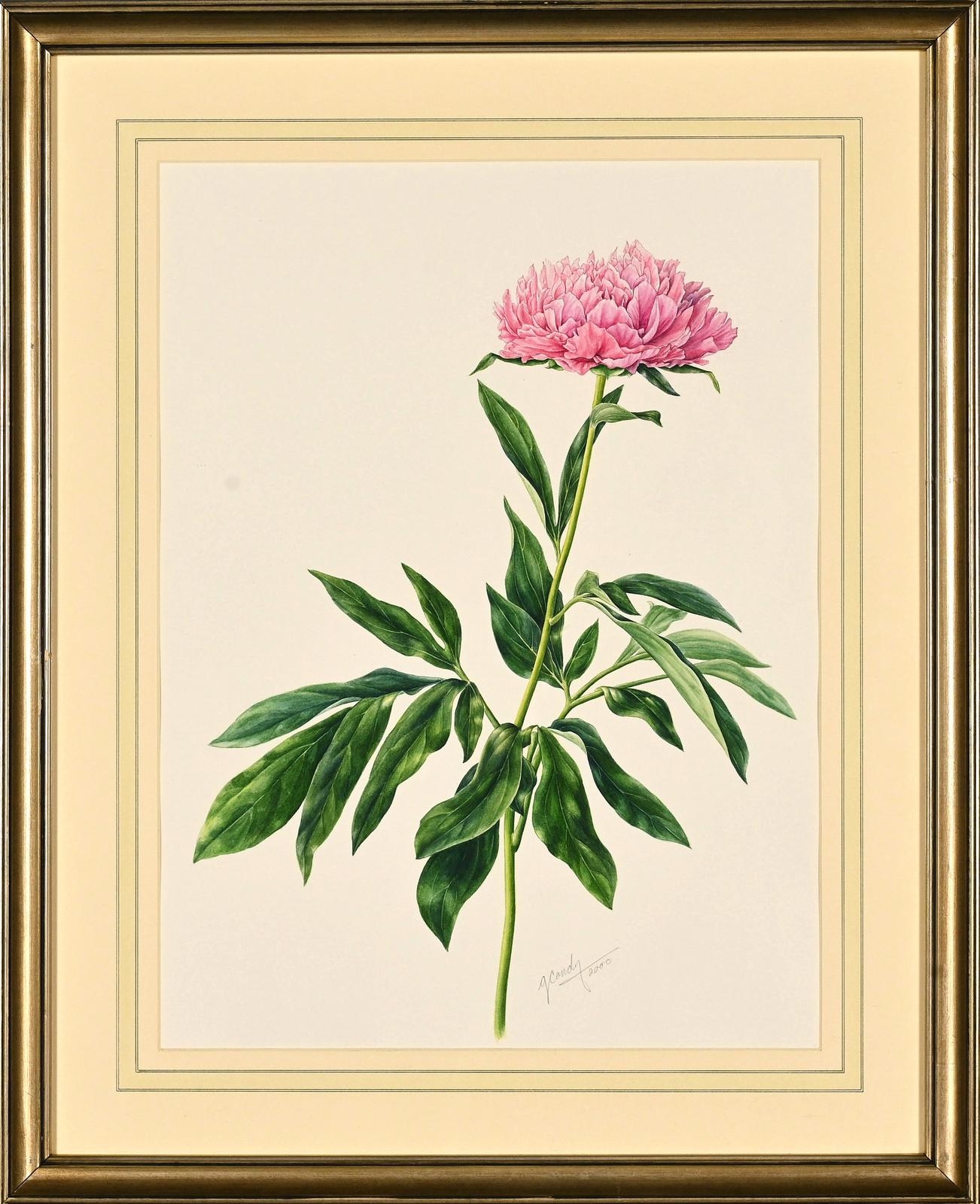 Gillian Condy | Chinese Peony (2000) | MutualArt