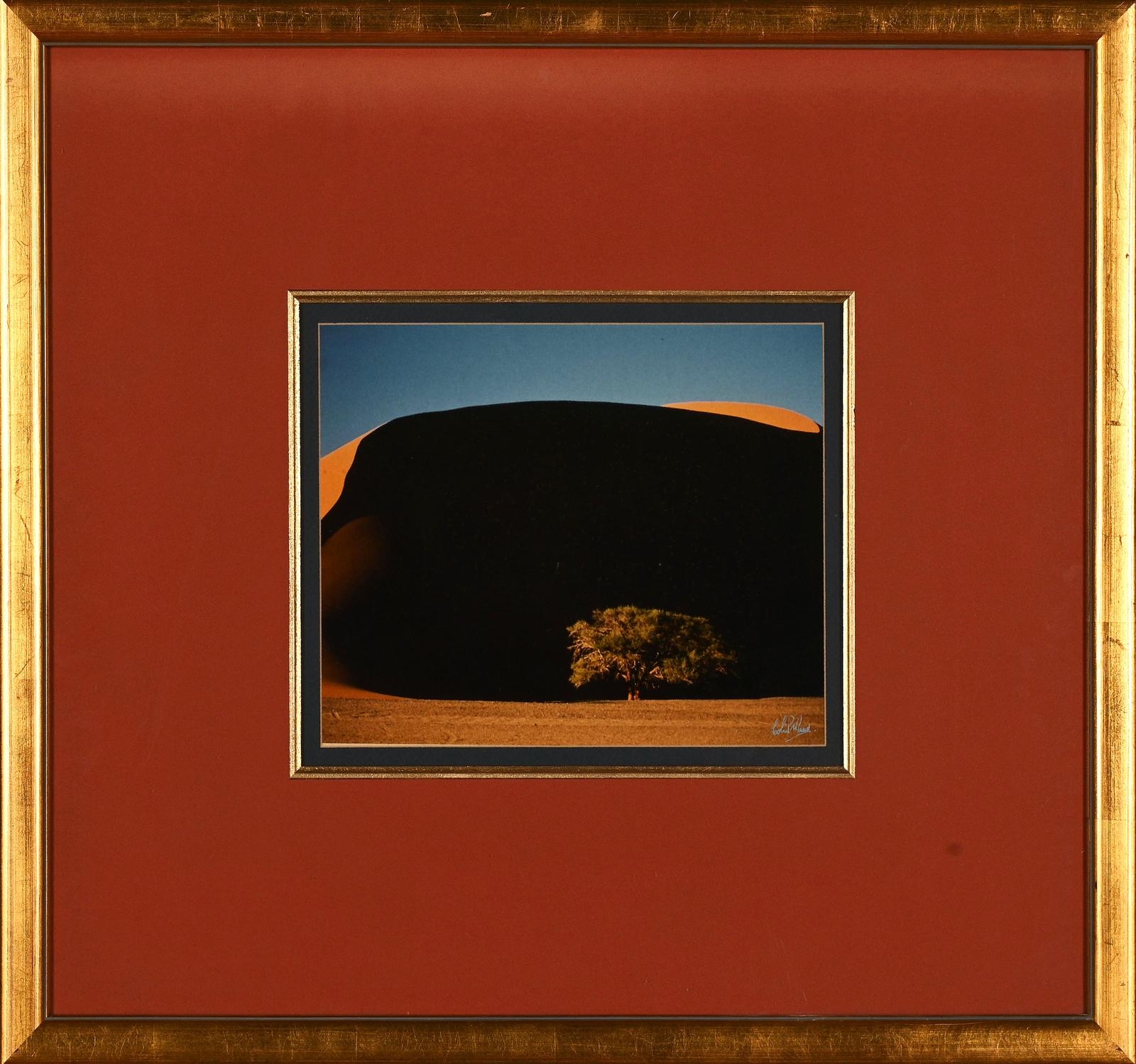 Colin Mead | Tree and Desert Dune | MutualArt