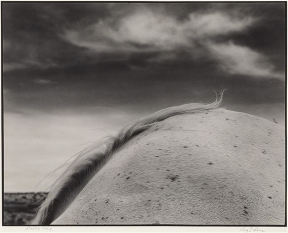 Ray Belcher | Mare's Tale | MutualArt