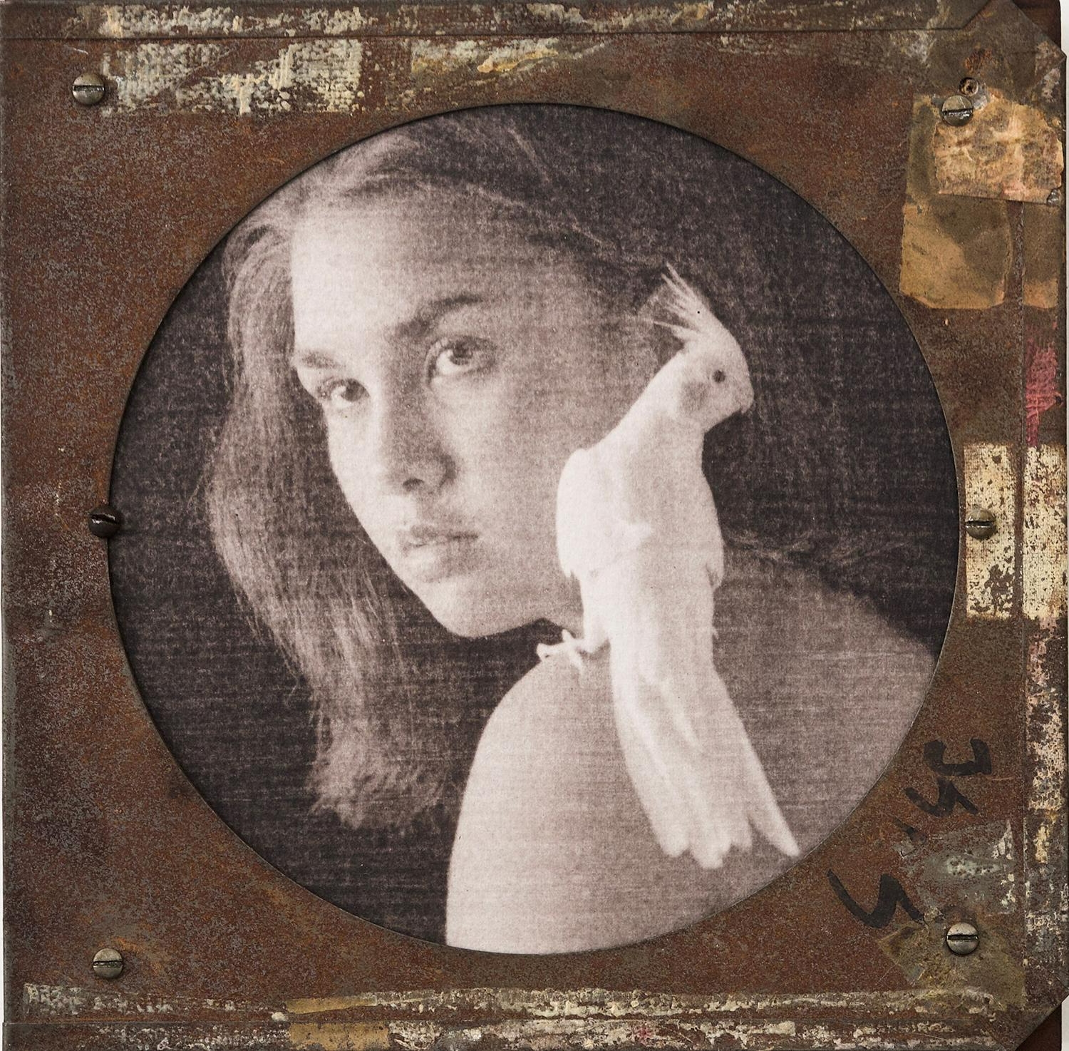 Nancy Sevier | Girl with a Cockatiel (2022) | MutualArt