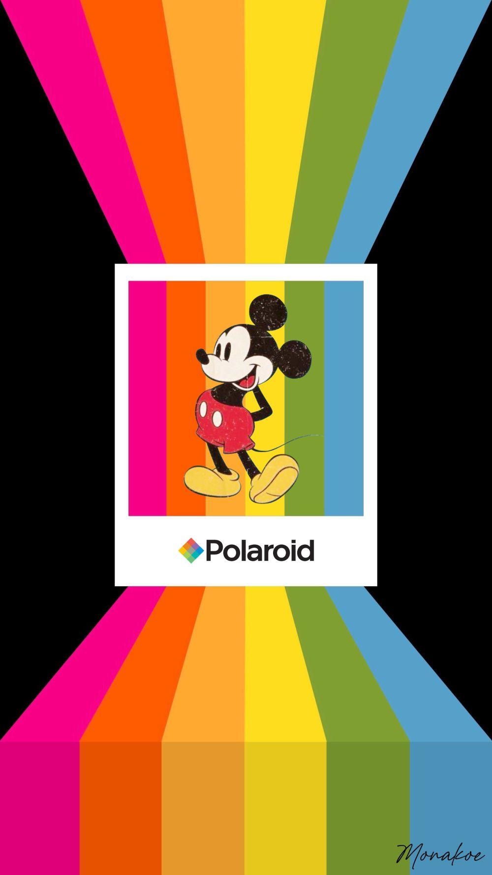 Monakoe | Mickey Polaroid | MutualArt