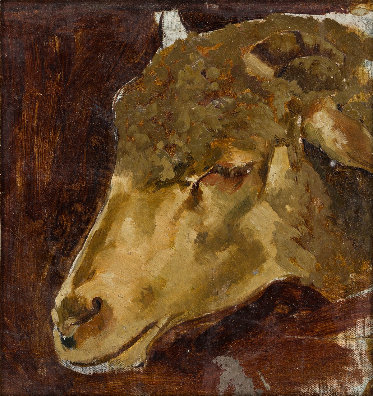Henry Ossawa Tanner | Head of a Sheep. (1880 - 1881) | MutualArt