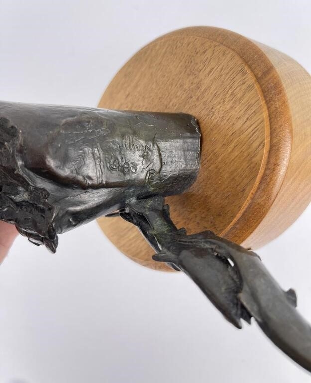 Tim Sullivan | Spawn Hunter | MutualArt