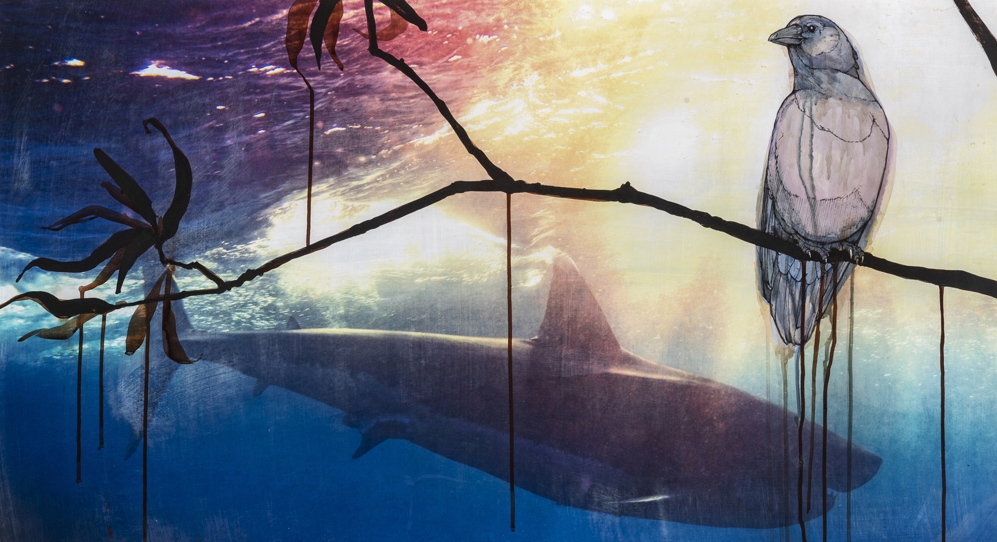 Sage Vaughn | At Ease (2011) | MutualArt