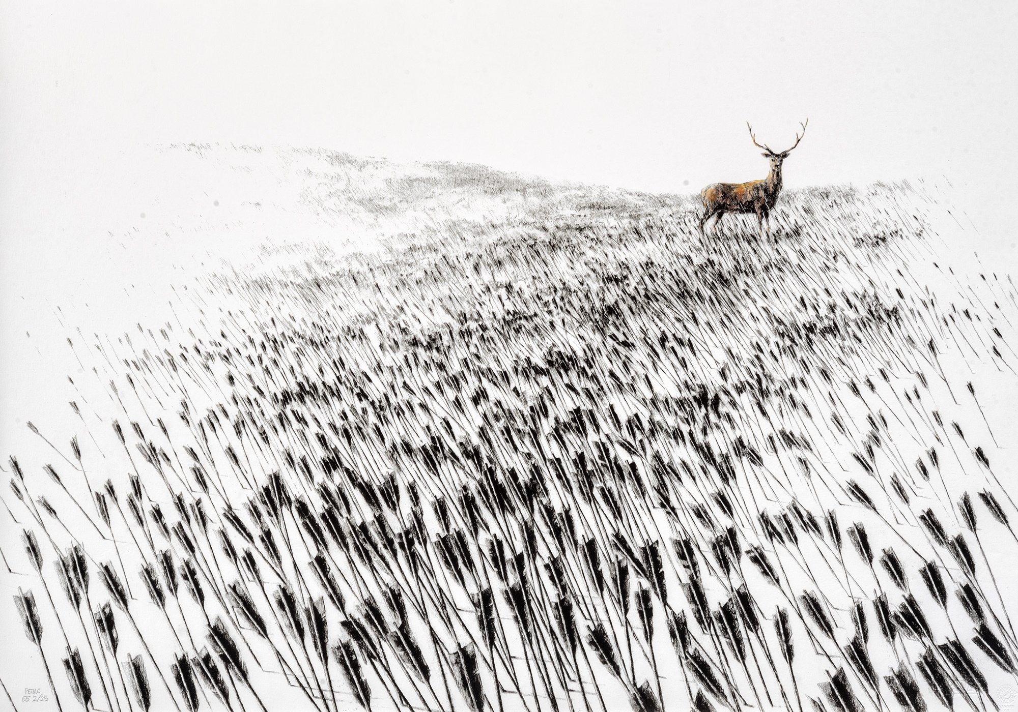 Pejac | Meadow (2015) | MutualArt