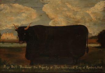 Naïve School, 19th century | A study of a prize bull belonging to ...