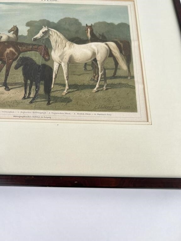 Emil Volkers | Horse Breeds (1892) | MutualArt