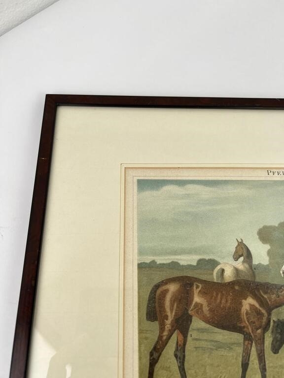 Emil Volkers | Horse Breeds (1892) | MutualArt